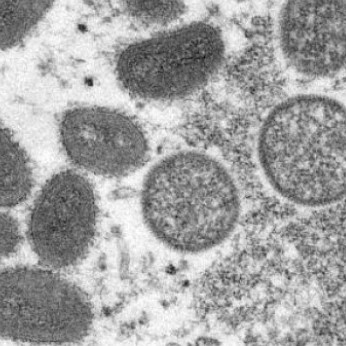 Massachusetts Medical Society Home